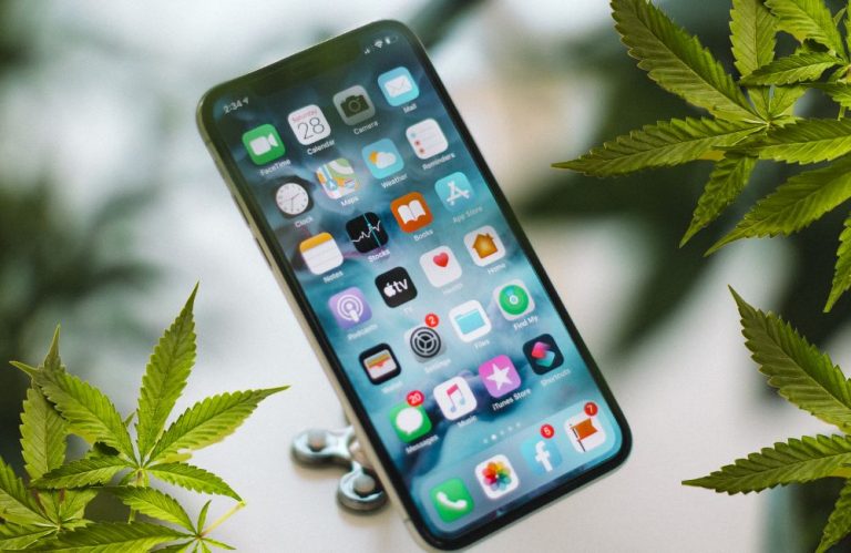 5 Key Digital Marketing Strategies for Effective Cannabis SEO